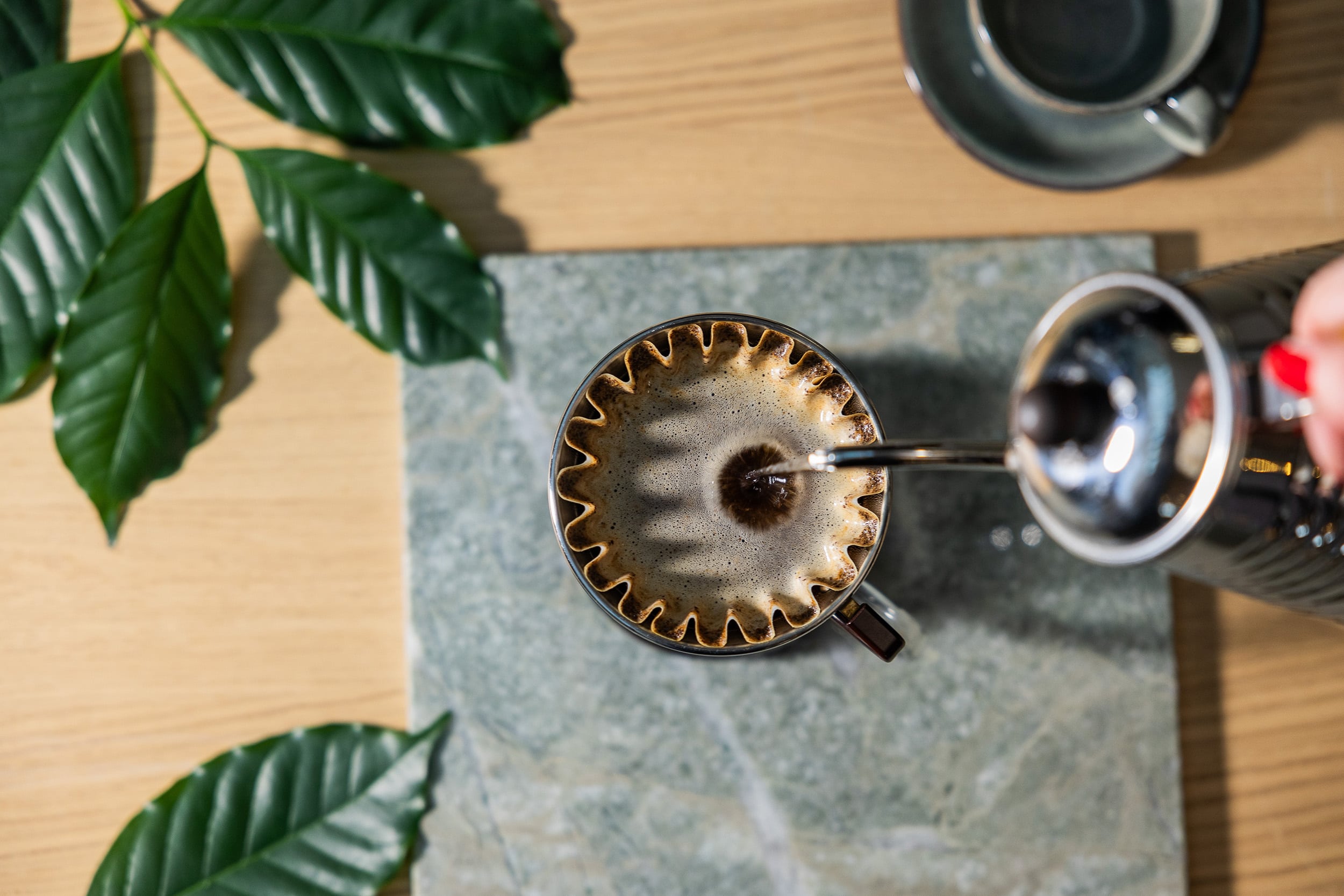 Bryggeguide Kaffe - Lag god kaffe hjemme - Solberg og Hansen